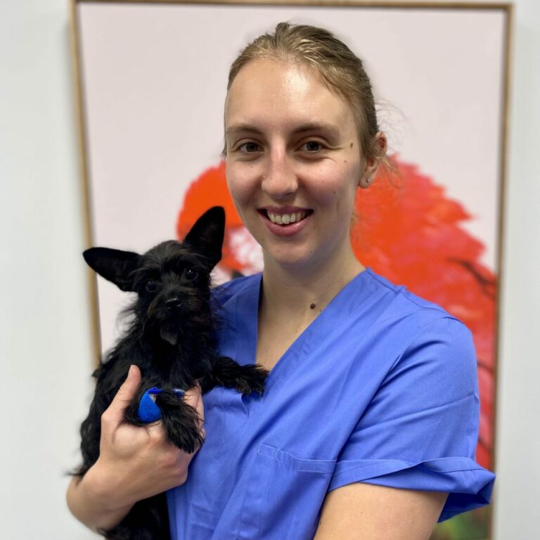 Our Team - Vets of Geelong