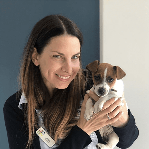 Jessie – Vets of Geelong